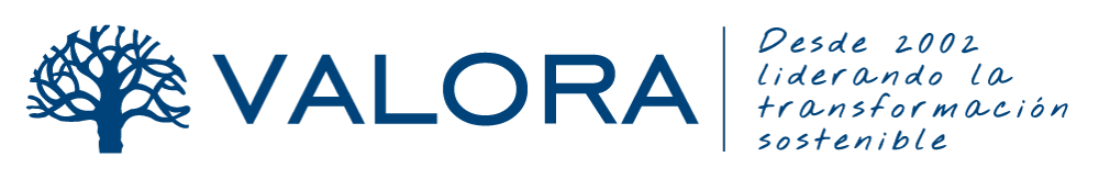 Valora se adhiere a Feique como nuevo Business Partner - Chemspain